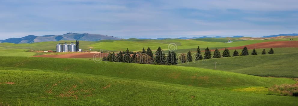 Panoramic View of Wheat Fields and Barn on the Rolling Hills in ...
