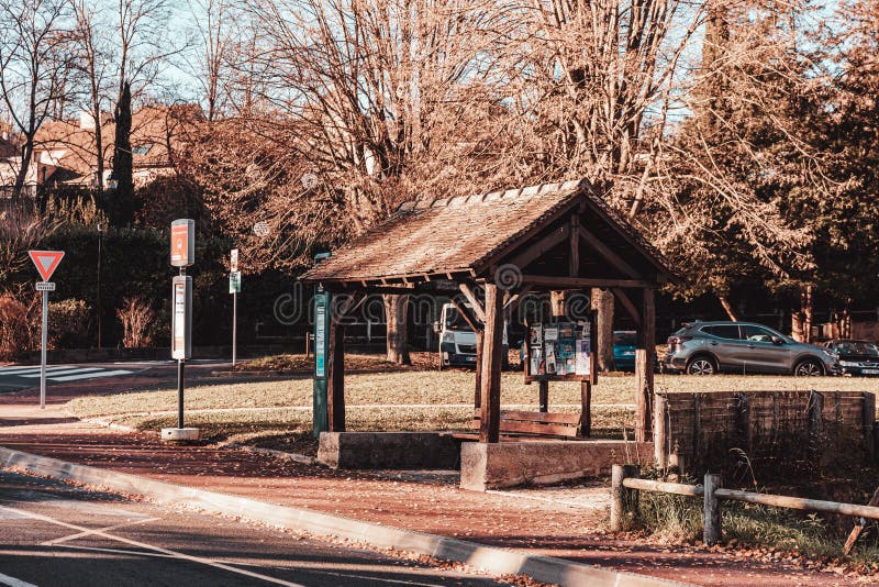 Panoramic View of a Wooden Canopy with Deciduous Trees on the ...