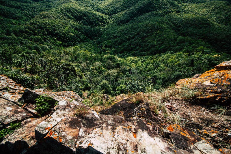 Panoramic Views from the Cliffs Down into Deep Mountain Forests with ...