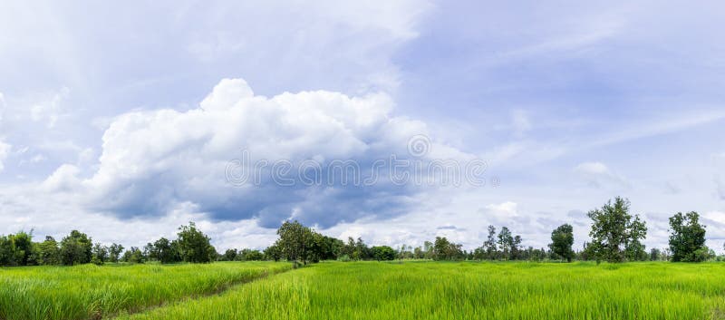 Panoramic Views of the Fields and the Beautiful Sky Stock Photo - Image ...