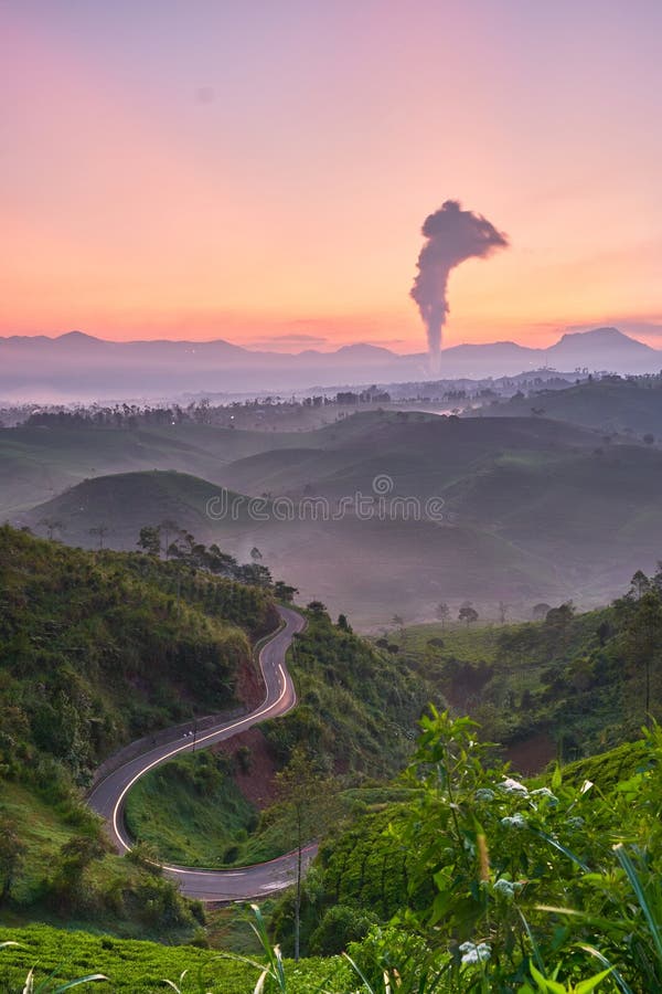 Panoramic Vision of Sunrise Over Tea Plantations with Shadows of Shapes ...