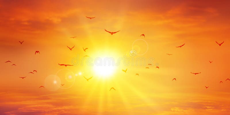 Panoramic warm sunset stock photo. Image of beautiful - 50017656