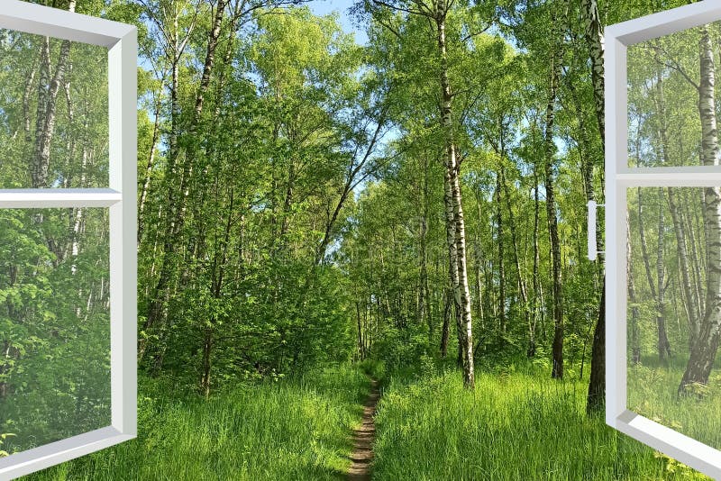 Panoramic Window with View of Red Sunset Above City Buildings Stock ...