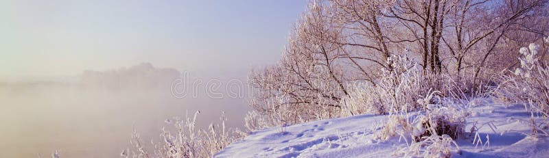 Panoramic winter landscape stock image. Image of snow - 82781607