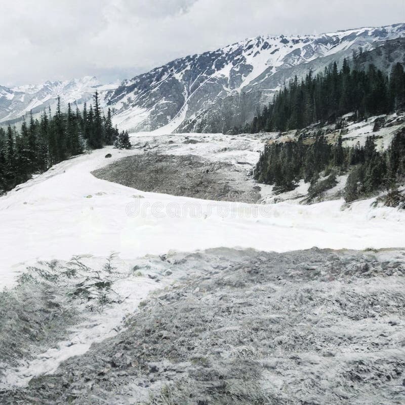 Panoramic Winter Landscape with Snow Covered Mountans and Pine Trees ...