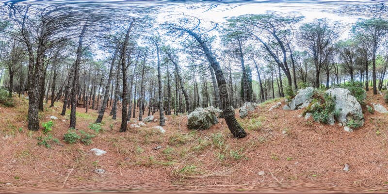 360 Panoramical Autmnal Landscape in the Forest Stock Photo - Image of ...