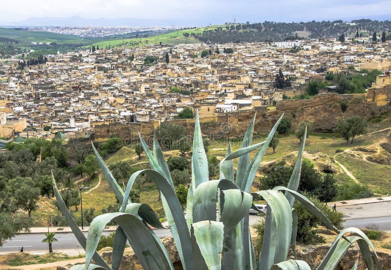 Panoramiczny Widok Fezu Fes Centrum, Maroko Zdjęcie Stock - Obraz ...