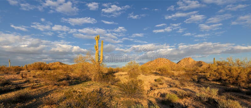 Panoramische Het Landschap Van De Woestijn Stock Foto - Image of reis ...
