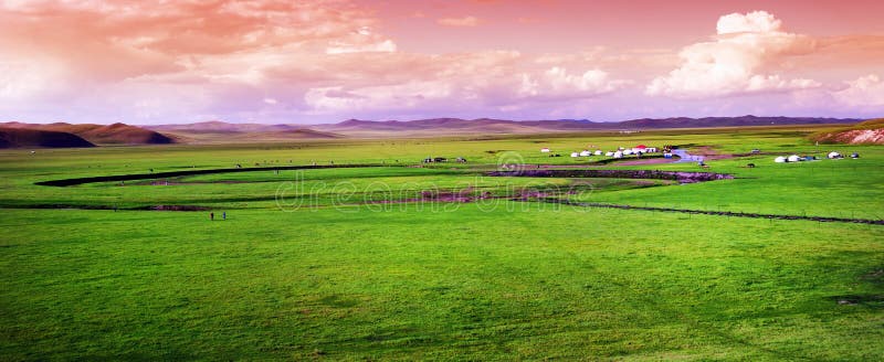 Panoramy Krajobrazowa Preria Obraz Stock - Obraz złożonej z drzewa ...