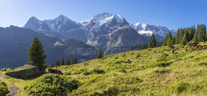 The Panorma of Bernese Alps with the Jungfrau, Monch and Eiger Peaks ...