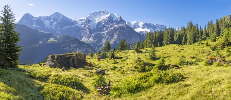 The Panorma of Bernese Alps with the Jungfrau, Monch and Eiger Peaks ...