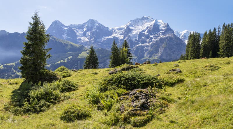 The Panorma of Bernese Alps with the Jungfrau, Monch and Eiger Peaks ...