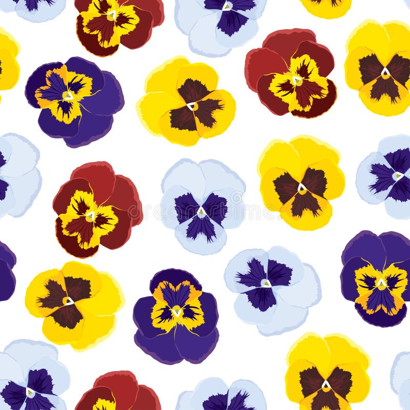 Pansies pattern seamless stock vector. Illustration of blossom - 68812791
