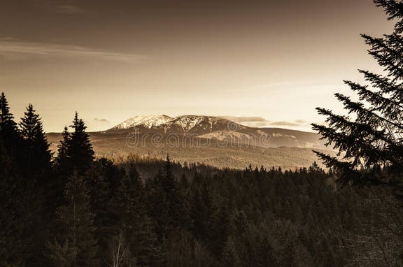 Pansky Diel стоковое фото. изображение насчитывающей ландшафт - 65762006