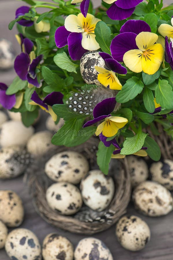 Pansy Flowers and Quail Eggs Stock Image - Image of nostalgia, easter ...