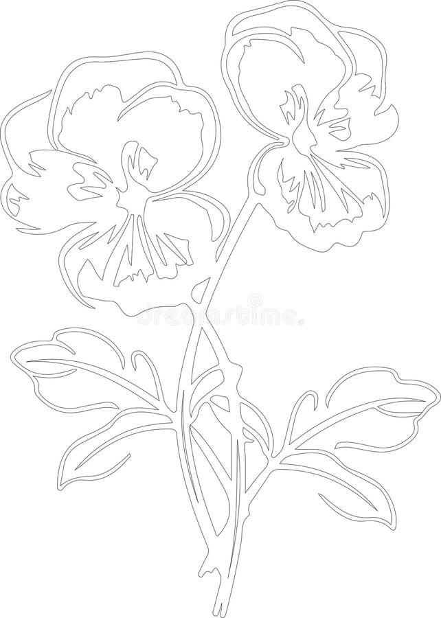 Pansy Outline Stock Illustrations – 1,227 Pansy Outline Stock ...