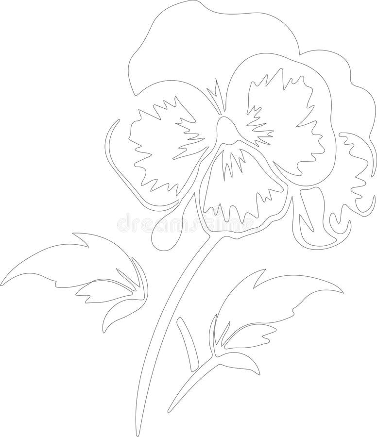 Pansy Outline Silhouette Generative Ai Stock Vector - Illustration of ...