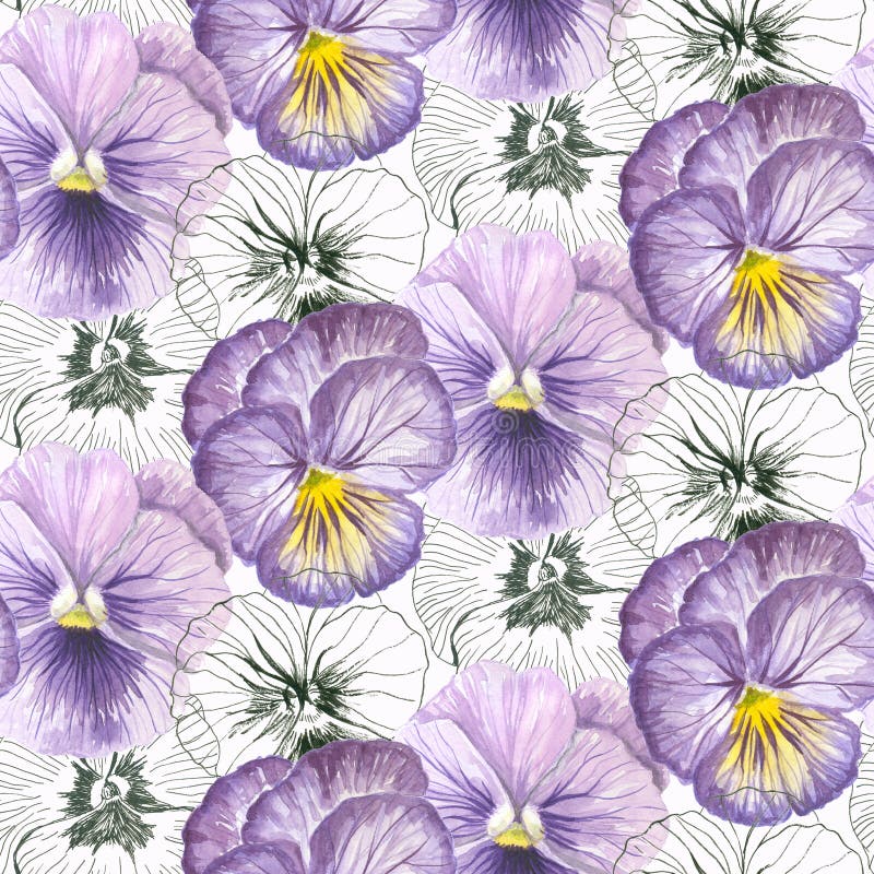 Pansy seamless pattern stock illustration. Illustration of bouquet ...
