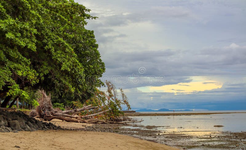 Saoka Sorong Stock Photos - Free & Royalty-Free Stock Photos from ...