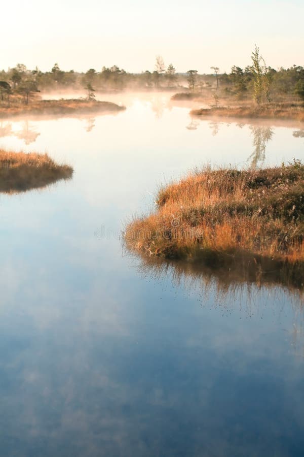 Pantano foto de archivo. Imagen de urbano, apacible, ambiental - 3983756