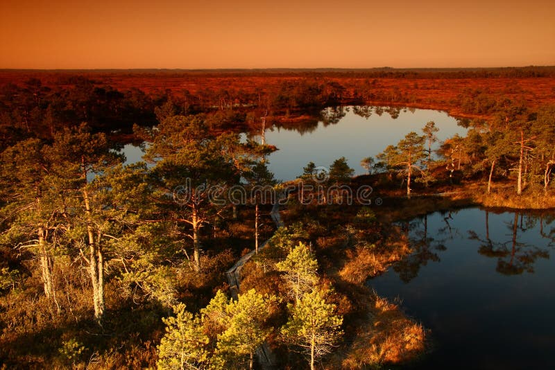 Pantano foto de archivo. Imagen de charca, cubo, lago - 5046686