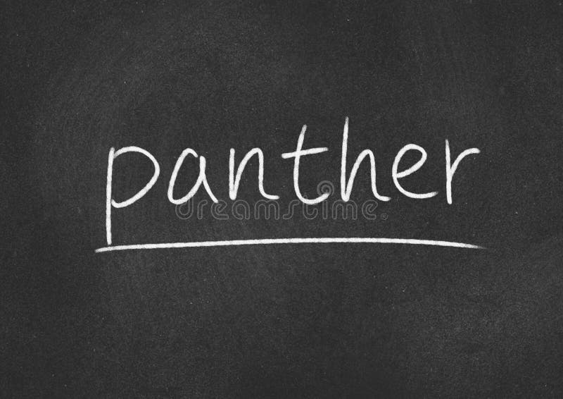Panther Stock Photos - Download 14,513 Royalty Free Photos