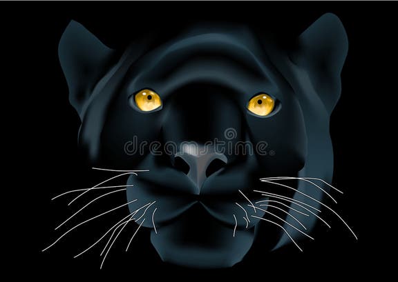 Panther Face Stock Illustrations – 17,783 Panther Face Stock ...