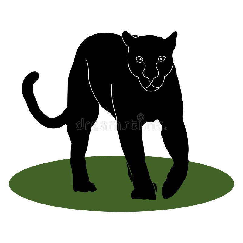 Panther icon design stock vector. Illustration of elegant - 322875079