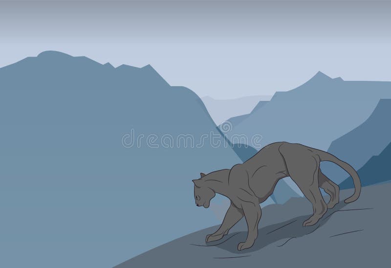 Panther in the mountains, stock vector. Illustration of capuchin ...