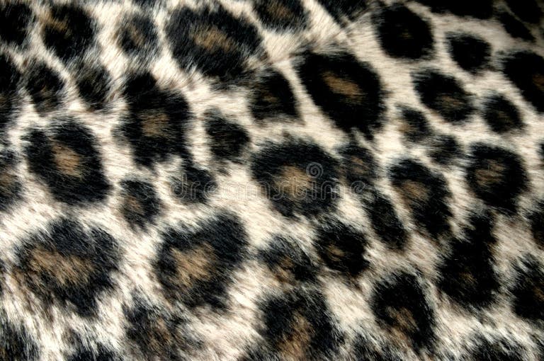 Panther pattern stock image. Image of background, material - 264169