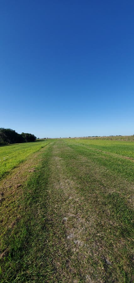 Panther Point Trail stock image. Image of plain, plant - 244446659