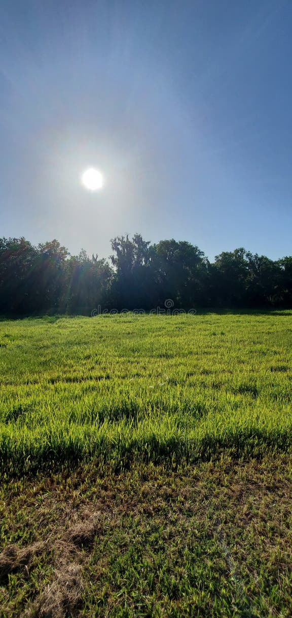 Panther Point Trail stock photo. Image of horizon, grassland - 244446710