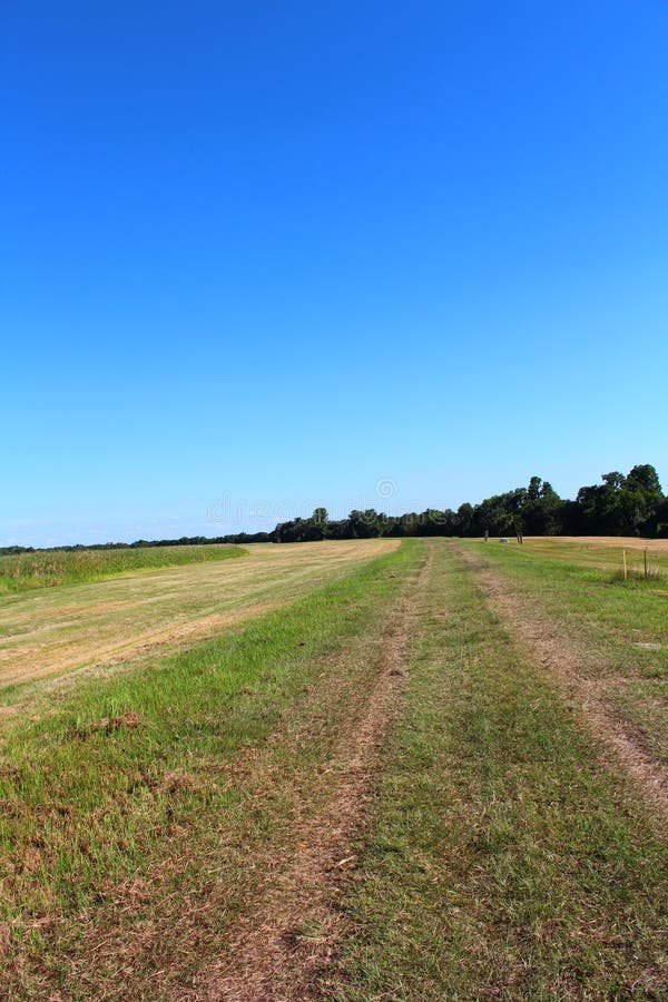 Panther Point Trail at Lake Hancock Stock Photo - Image of lawn ...