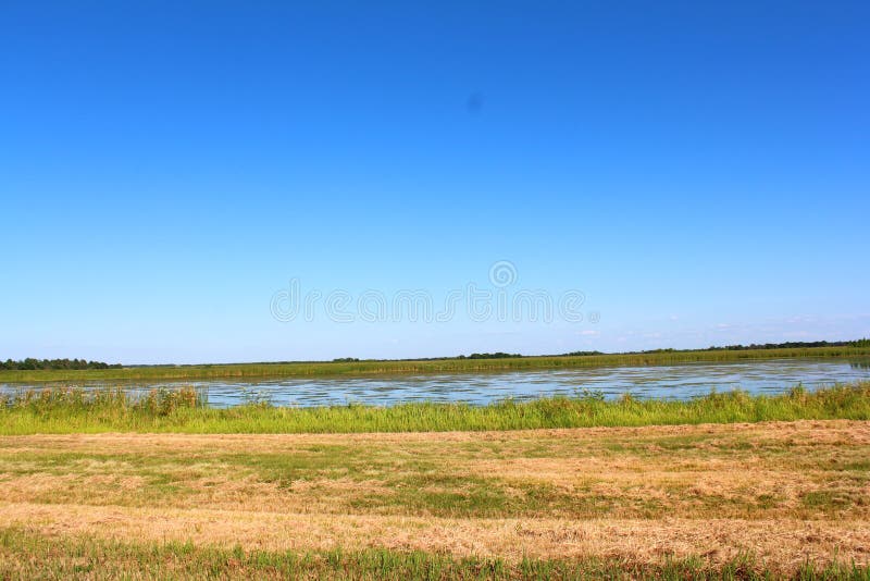 Panther Point Trail at Lake Hancock Stock Photo - Image of plant ...
