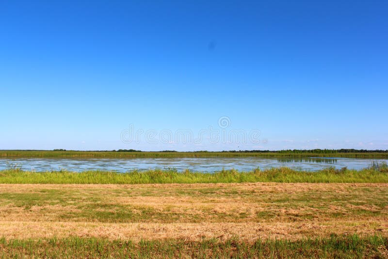 Panther Point Trail at Lake Hancock Stock Image - Image of tree, field ...
