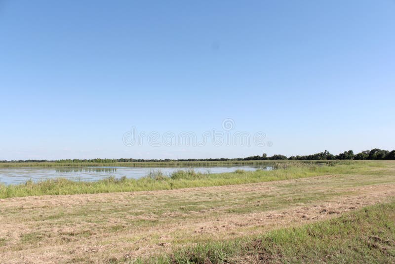 Panther Point Trail at Lake Hancock Stock Photo - Image of prairie ...