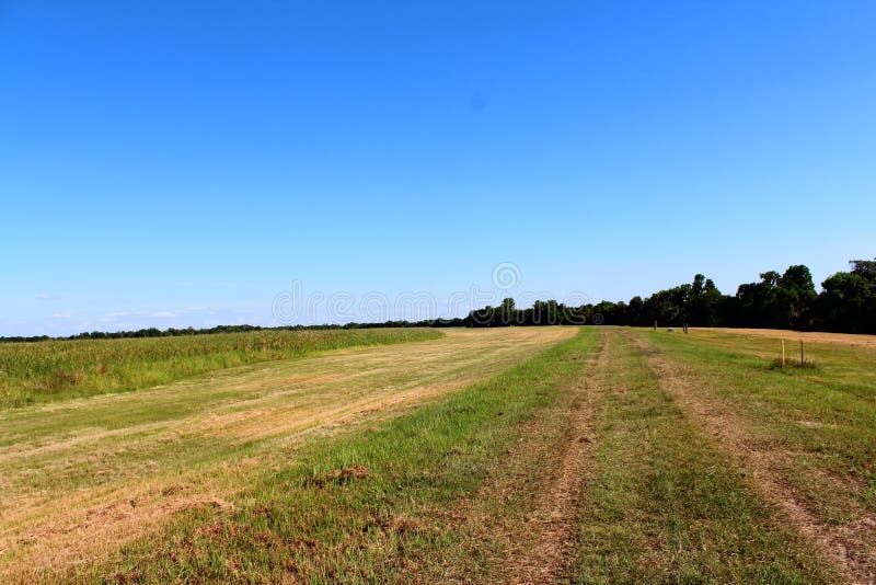 Panther Point Trail at Lake Hancock Stock Image - Image of horizon ...