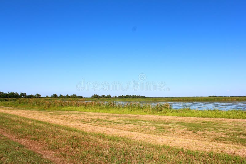 Panther Point Trail Lakeland Florida Stock Image - Image of florida ...