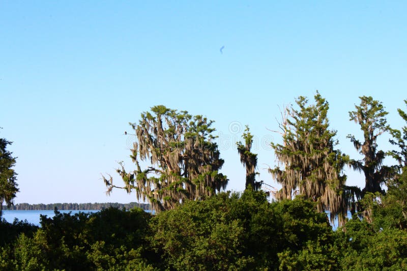 Panther Point Trail Lakeland Florida Stock Image - Image of trail ...