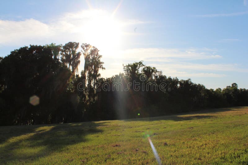 Panther Point Trail Lakeland Florida Stock Photo - Image of panther ...