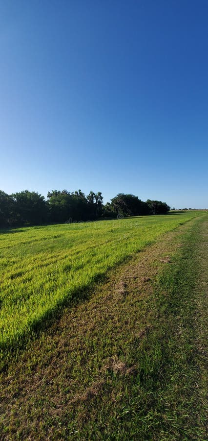 Panther Point Trail stock photo. Image of soil, horizon - 244446650