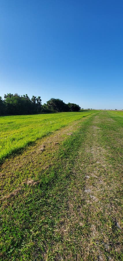 Panther Point Trail stock image. Image of grass, horizon - 244446711