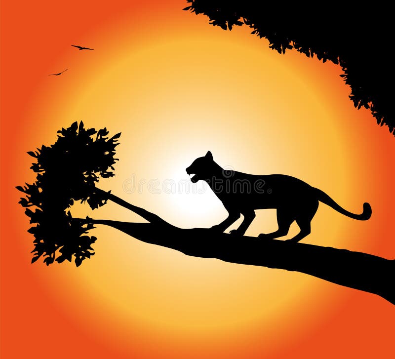 Panther silhouette stock vector. Illustration of silhouette - 51461908