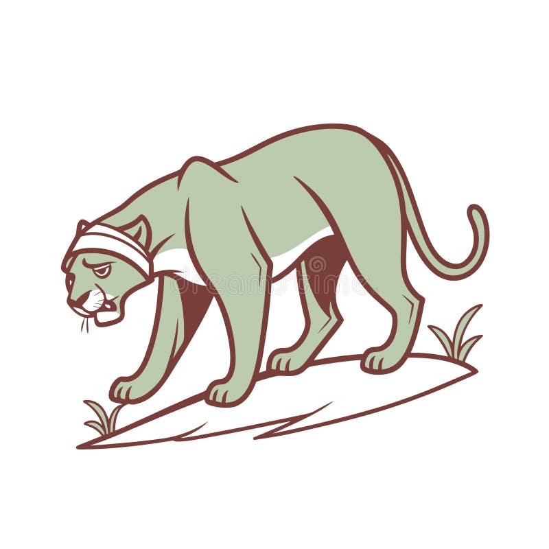 Panther Walking in a Slow Pace Stock Image - Illustration of animal ...