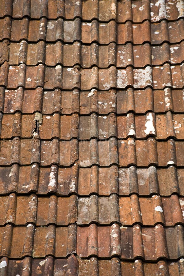 Architectural Backgrounds - Roofing Stock Photo - Image of photograph ...