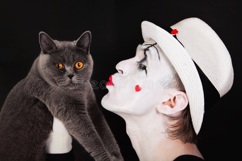Photos de Chat Mime - Photos de stock gratuites et libres de droits de ...