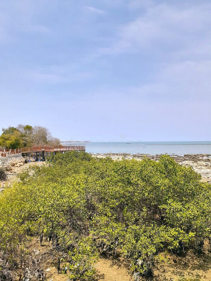 Pantura Beach Paciran Stock Photos - Free & Royalty-Free Stock Photos ...