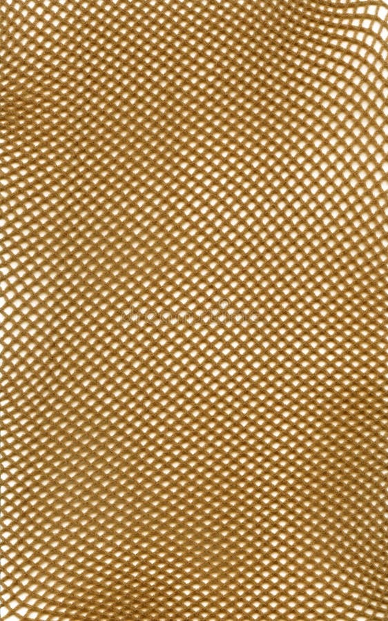 Pantyhose texture stock image. Image of glamor, feminine - 5650983