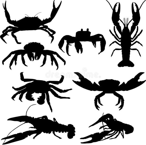 Panzerkrebse und Krabbe vektor abbildung. Illustration von ozean - 30607554