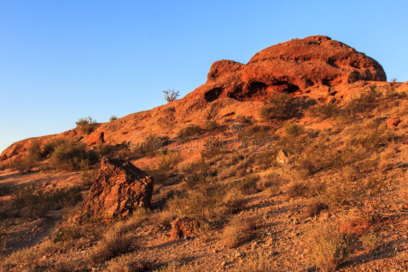 Papago Park stock photo. Image of cactus, butte, scottsdale - 31357990